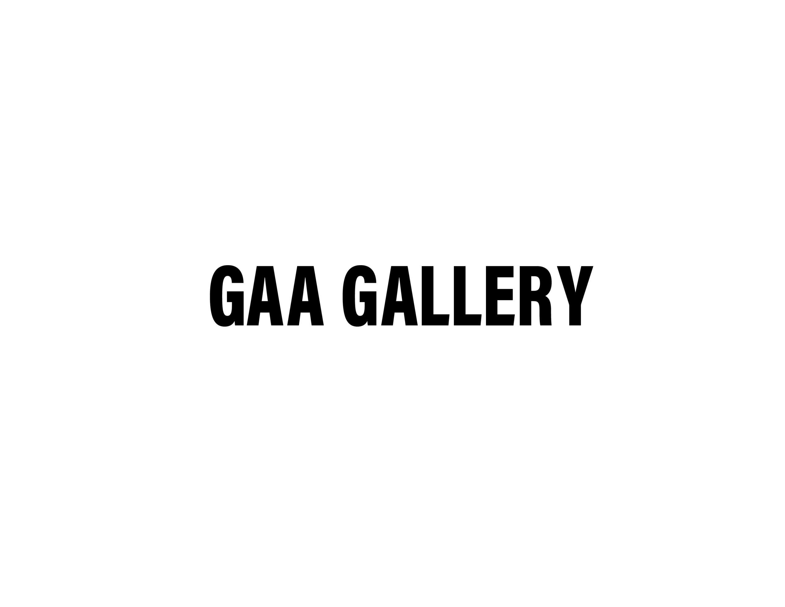 Gaa Gallery – Art in America Guide